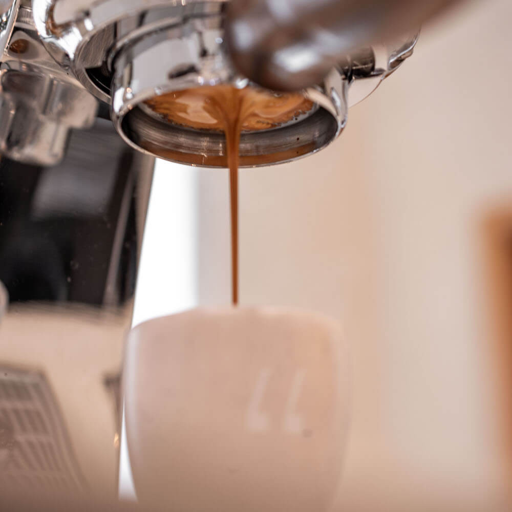 Menu – Welcome to dialogue